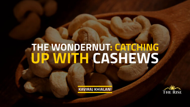 CATCHING UP WITH CASHEWS: THE WONDERNUT - The Rise
