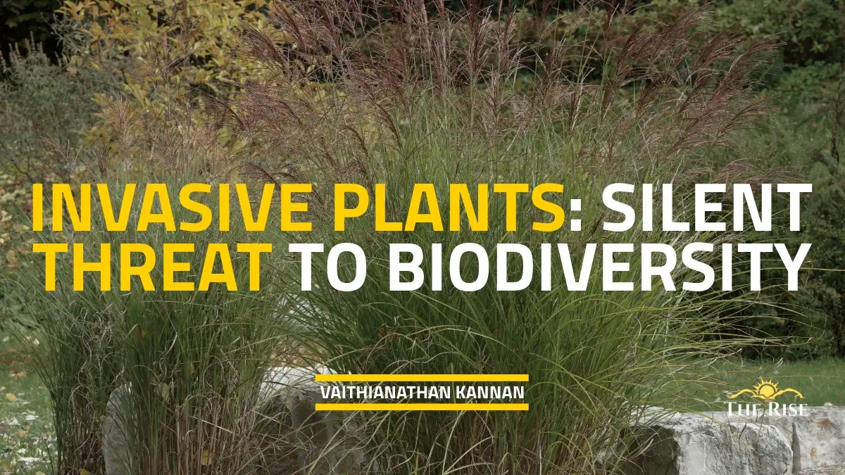Invasive Plants: The Silent Threat to Biodiversity - The Rise